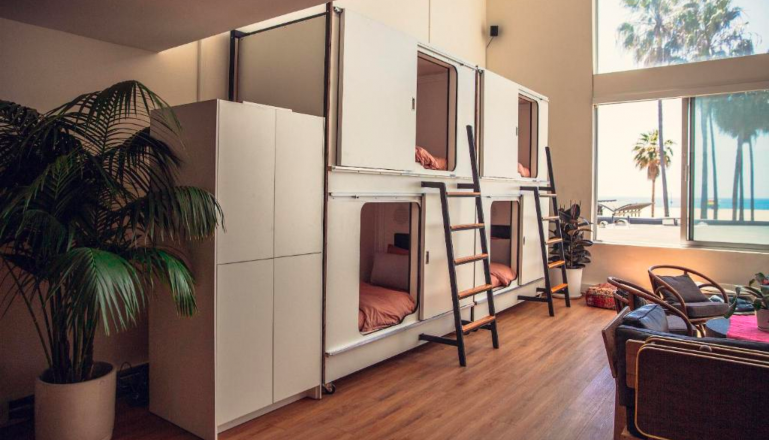 Global Investment Opportunities - APEX Capital Partners